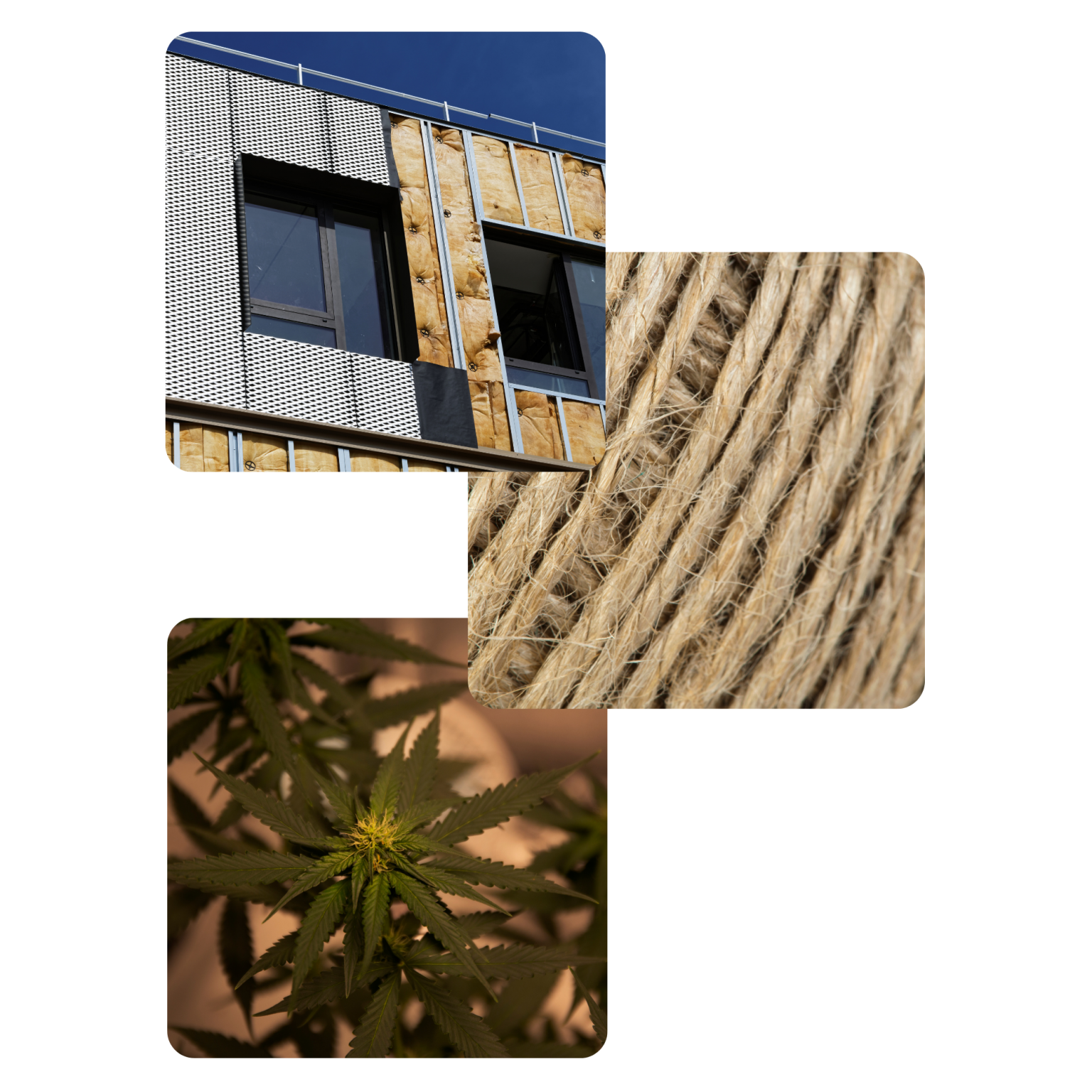 Atlantic Hemp Company – Healthy and Sustainable Products for the Home ...